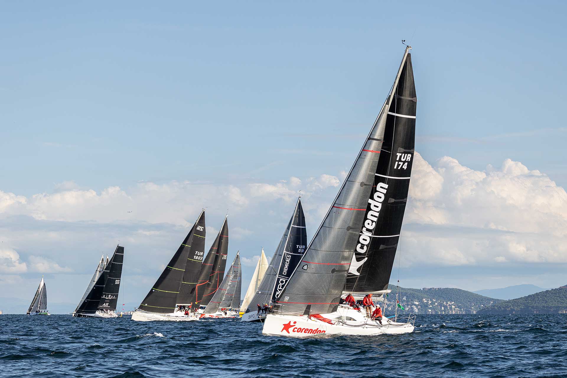 Our Fleet – Cheese Sailing